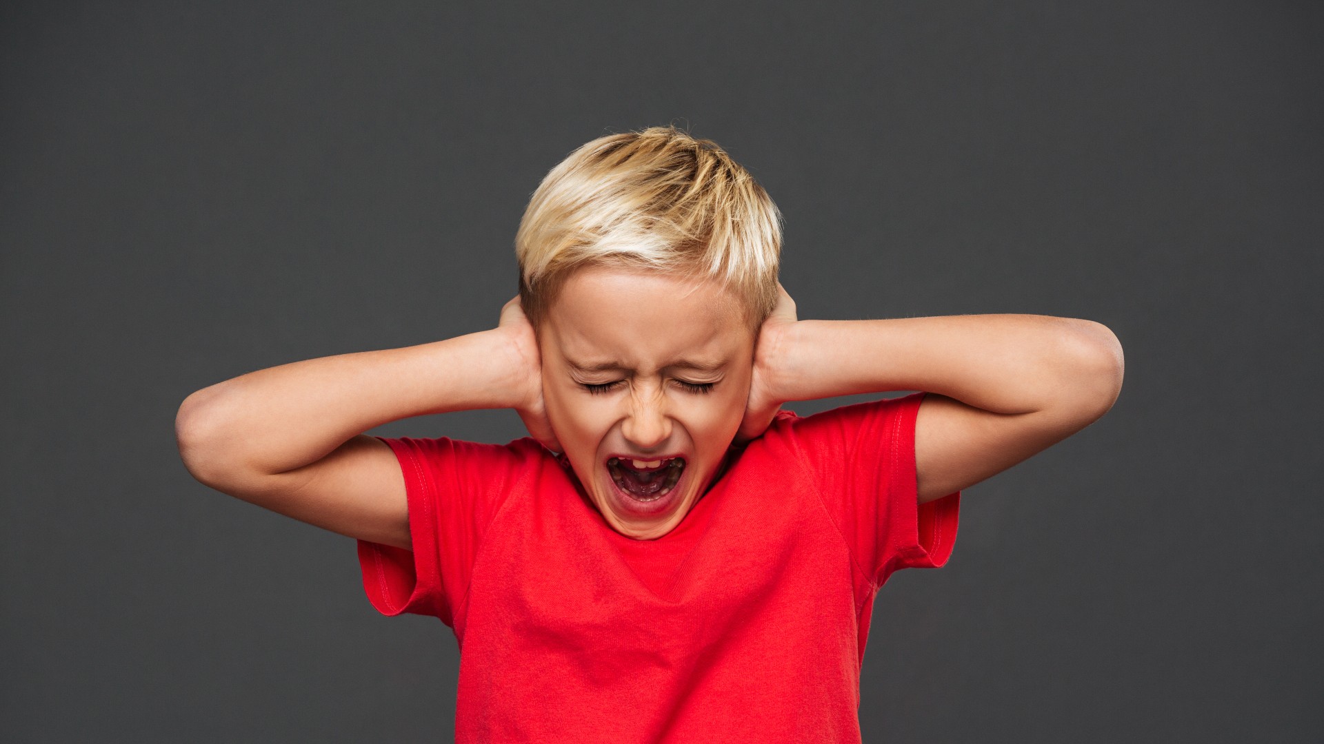 La Dra. Shely Polak conduce el taller Intervenciones sistémicas con ...